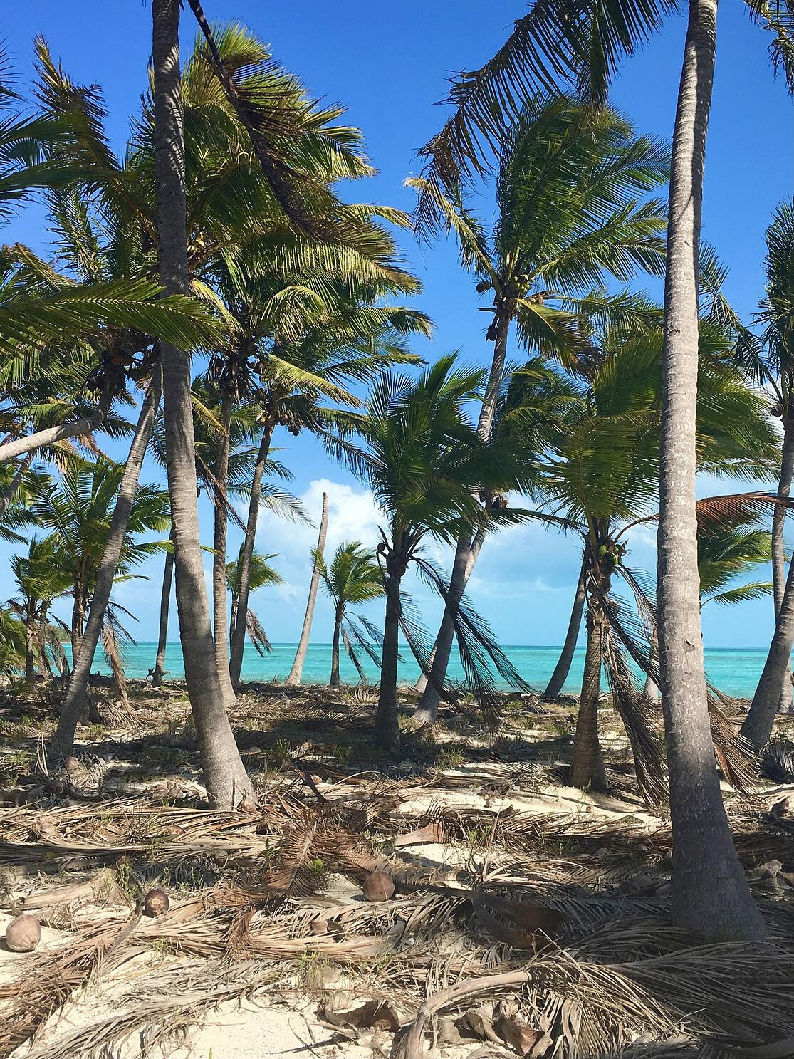 5 Reasons Why Exuma Should Be On Your Must See List